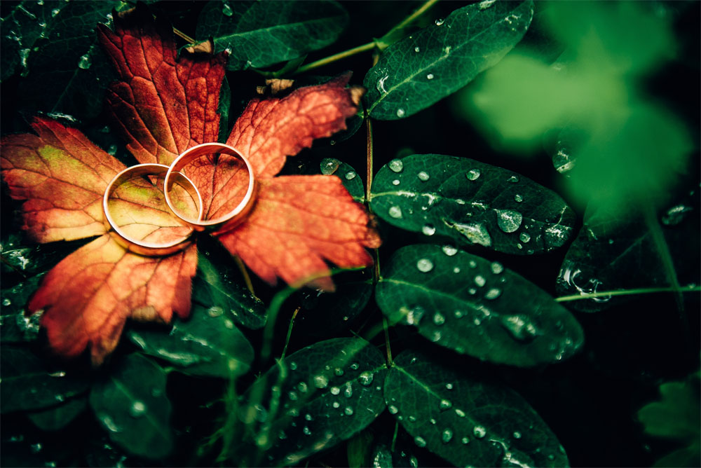 Marriage Tips And FAQ Ogborne Law